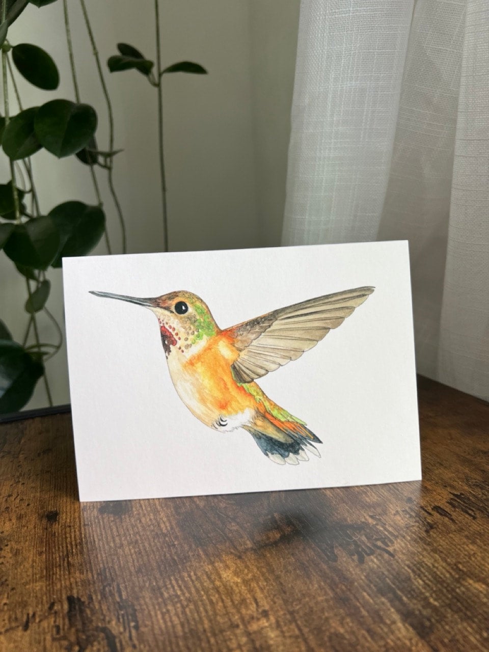 "Backyard Birds - West Coast" Card Set (5 cards w/ envelopes)